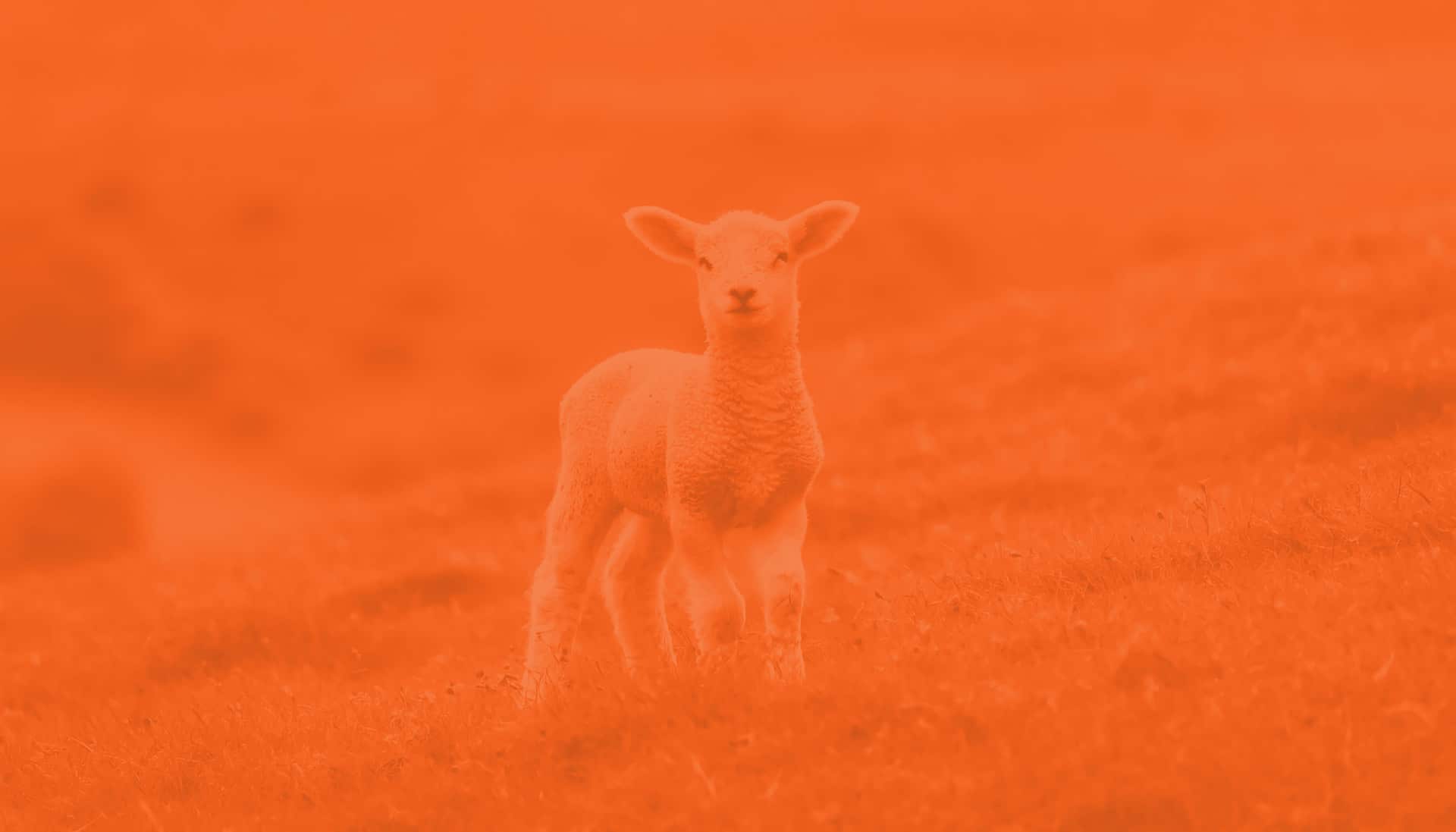 The Strength of a Meek Spirit - theegeneration.org